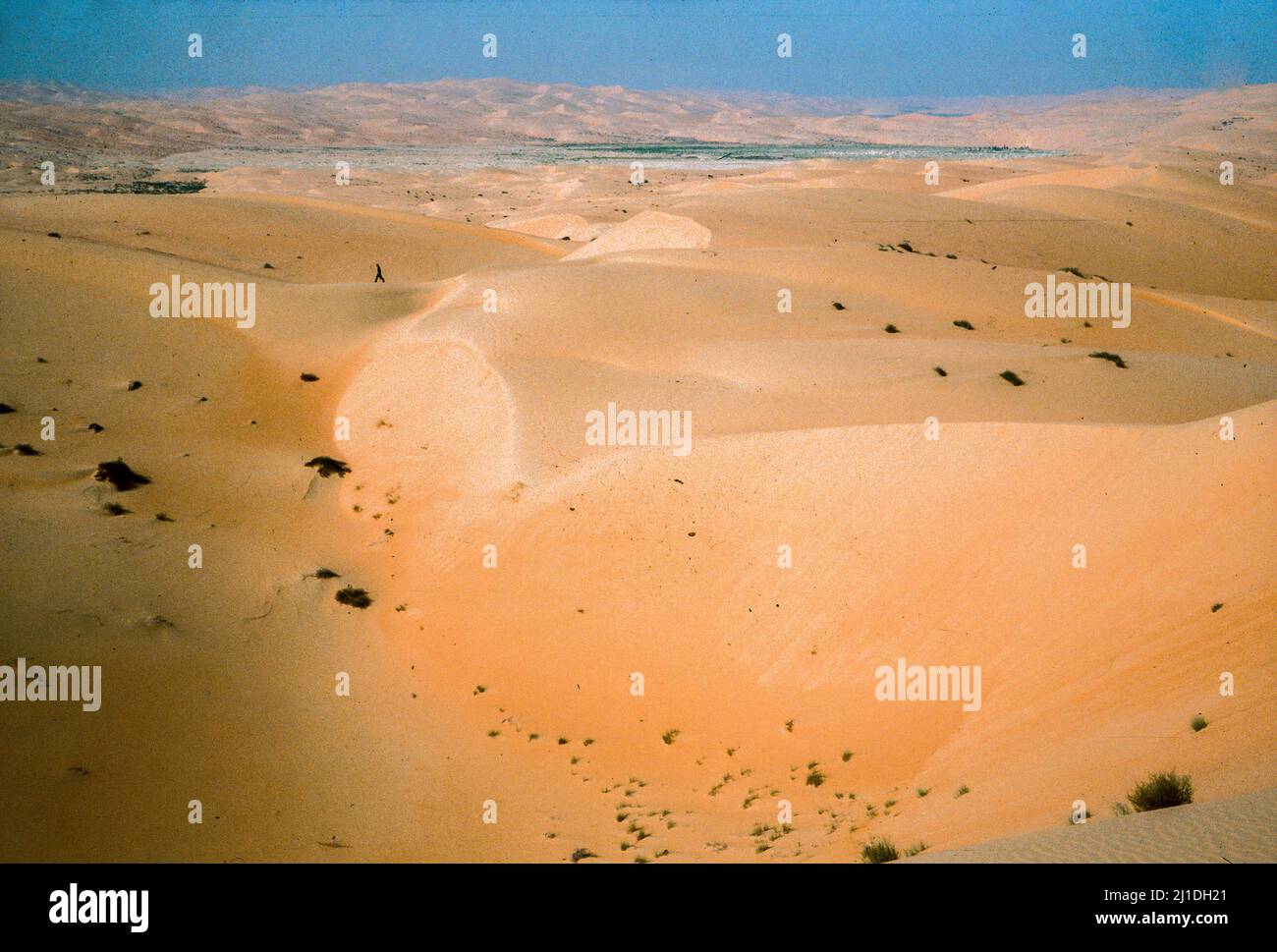 United Arab Emirates. Endless sands of the Liwa country in southern Abu ...