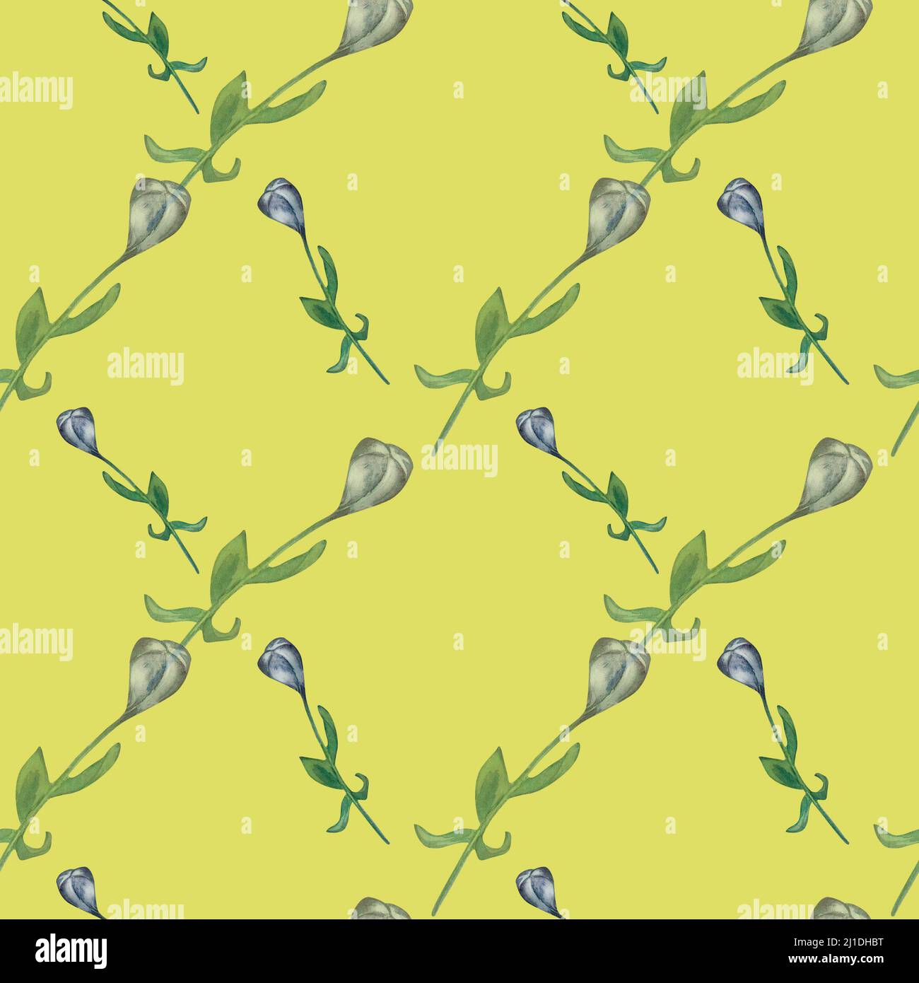 Rhombus purple flowers hi-res stock photography and images - Alamy