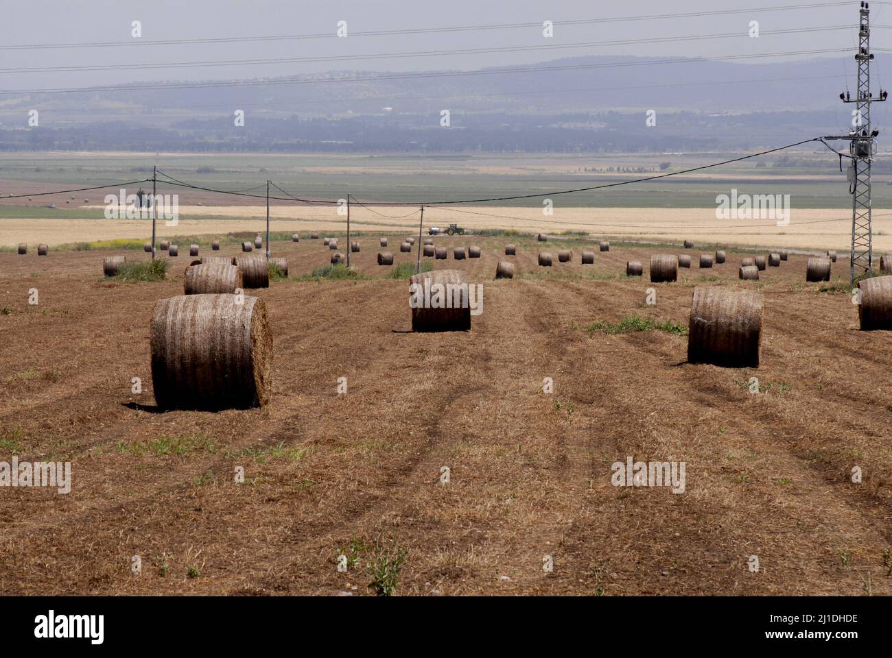 Israel farms Israel May 8,2006 (Photo by Francis Joseph Dean/Dean ...