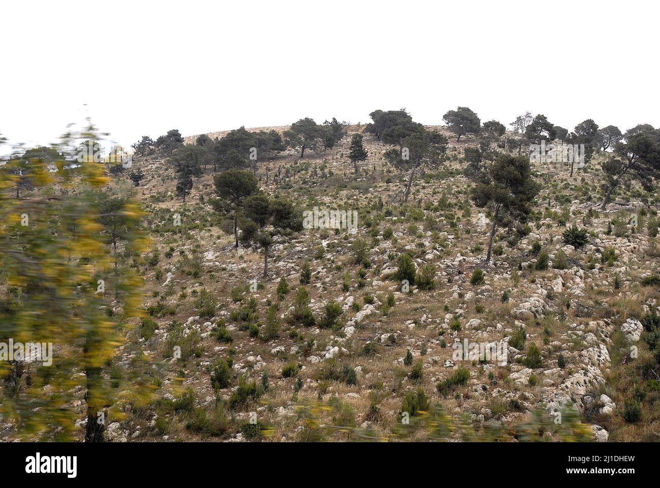 holy land Nazarethe city view IN NAZARETHE ISRAEL MARY 82006 (Photo by ...