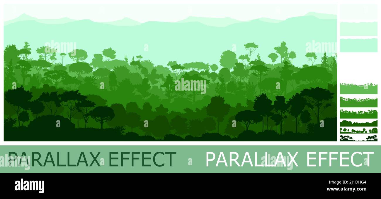 Dense jungle forest on the hills. Silhouettes of tall trees ...