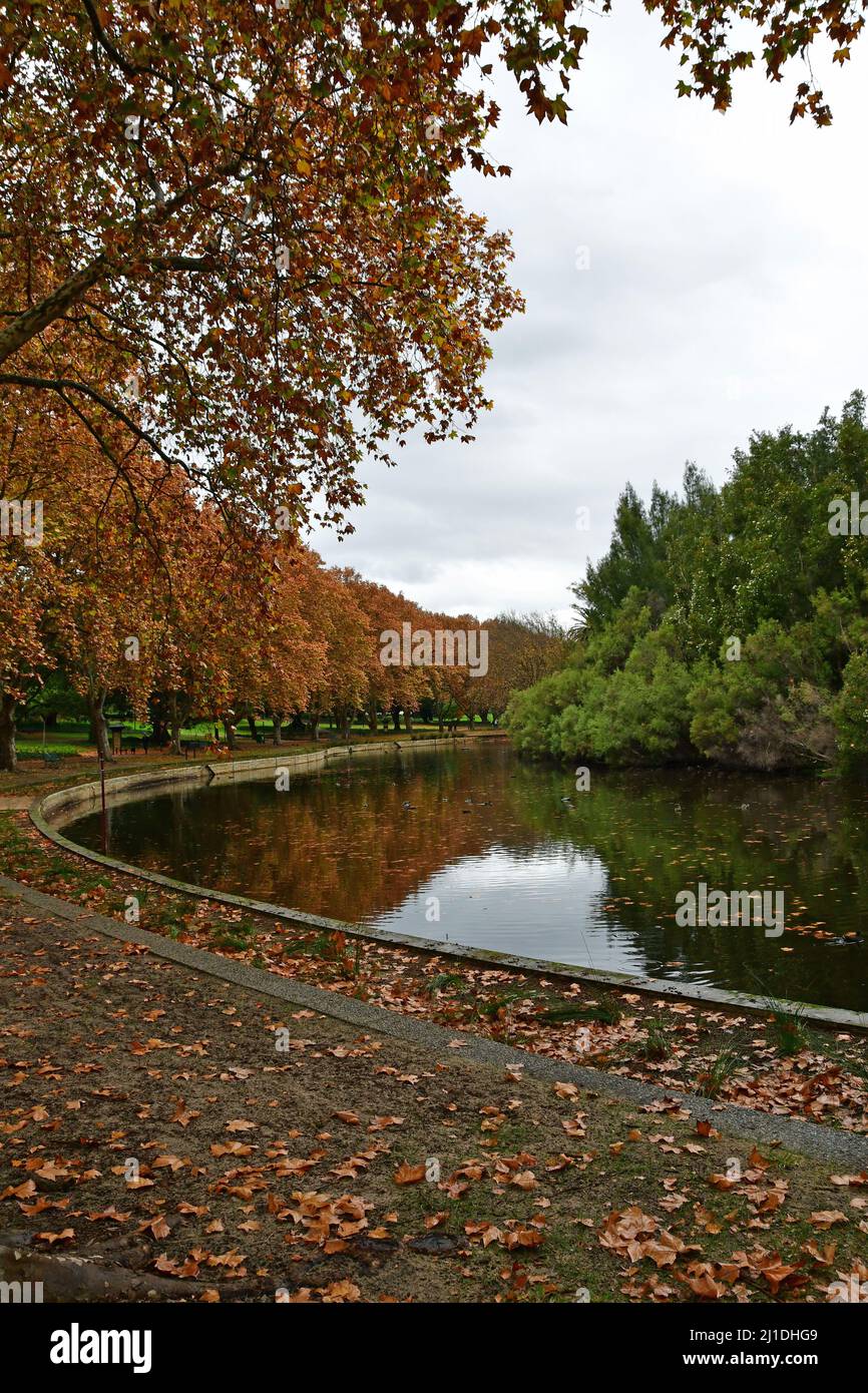 Autumn trees in Hyde Park Perth Western Australia Stock Photo - Alamy