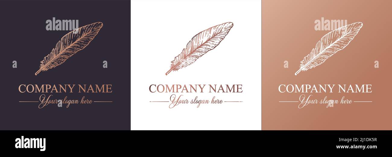 Feather logo vector template. Abstract design, elegant style. Brand for ...