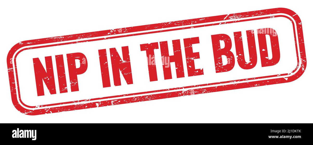 NIP IN THE BUD text on red grungy vintage rectangle stamp Stock Photo ...