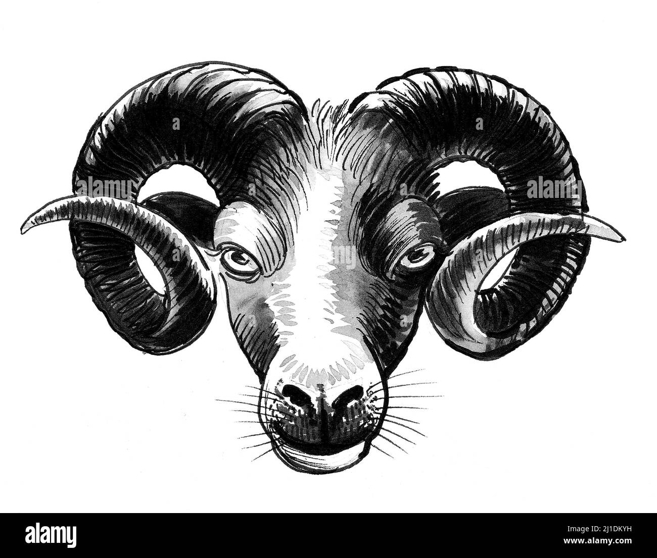 Rams horns Cut Out Stock Images & Pictures - Alamy