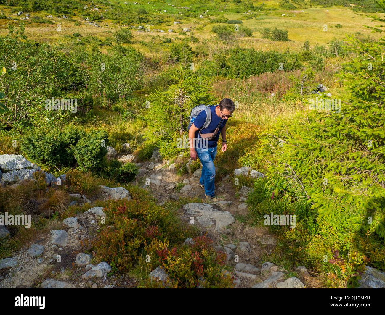 Man climbing grass slope hi-res stock photography and images - Alamy
