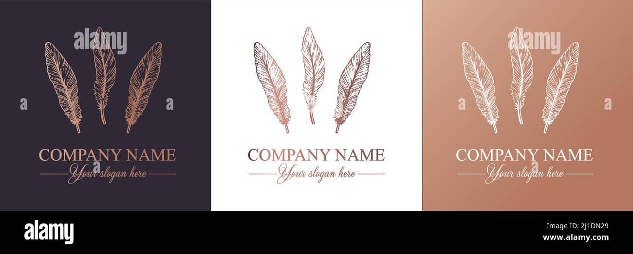 Feather logo vector template. Abstract design, elegant style. Brand for ...