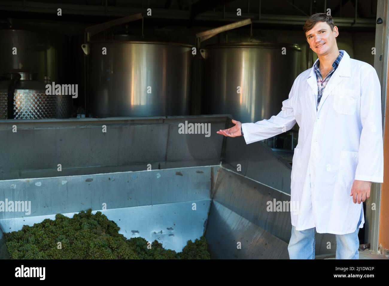 Man showing process of winemaking Stock Photo - Alamy
