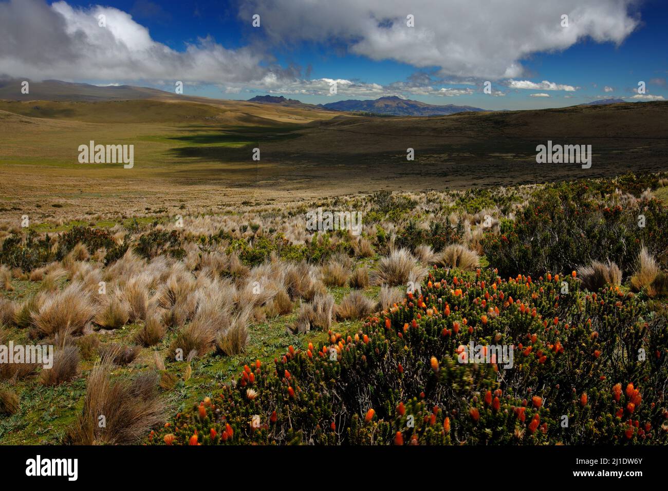 Antisana volcano in Ecuador, South America. Volcano with ice and snow ...