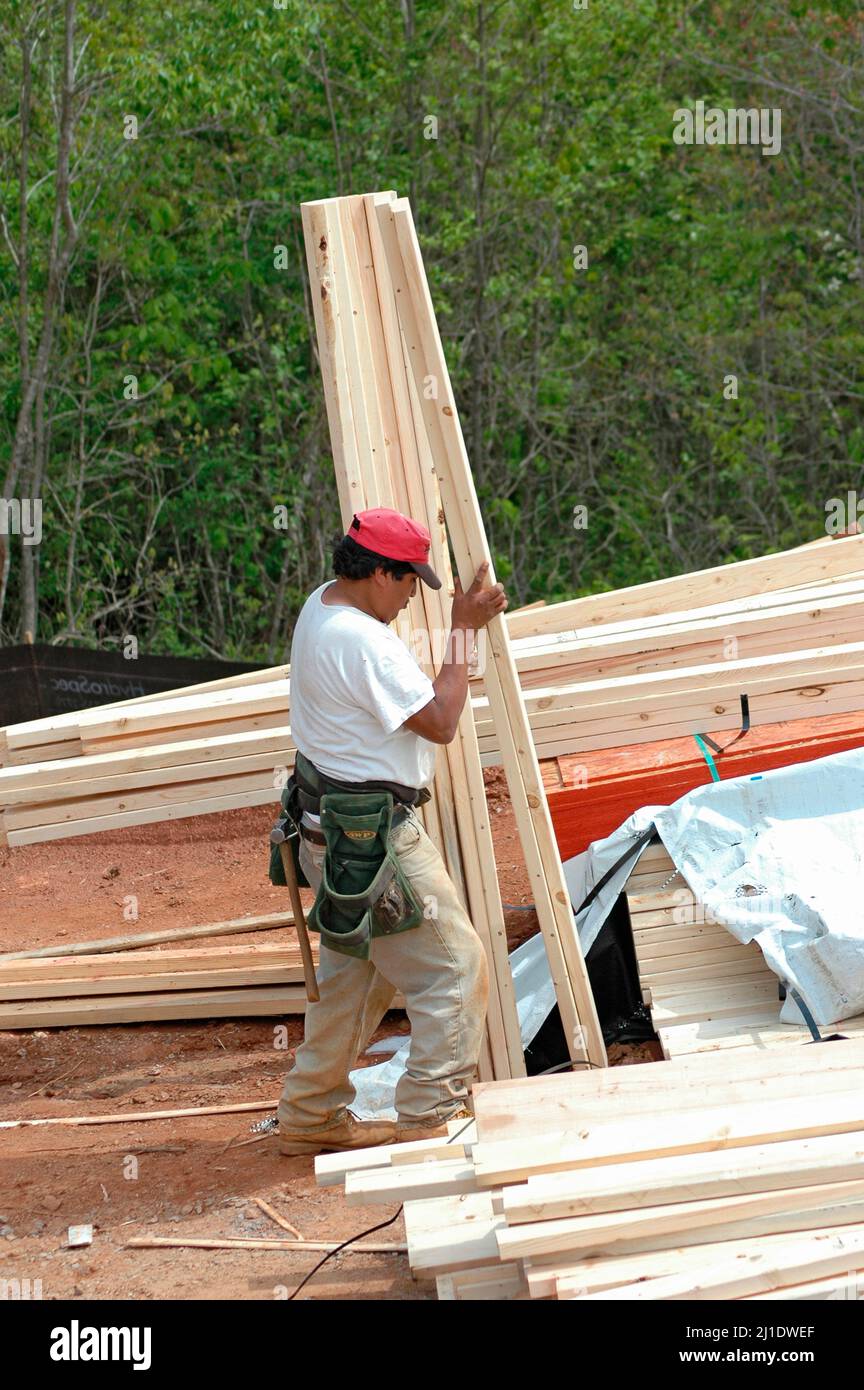 Measuring and cutting wood frame home construction by workers, stick ...