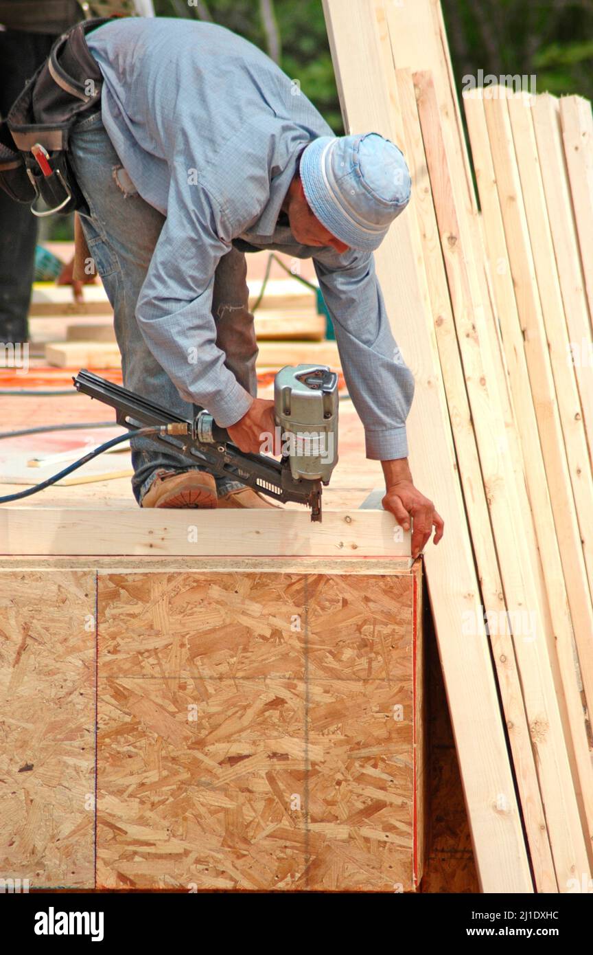 Measuring and cutting wood frame home construction by workers, stick ...