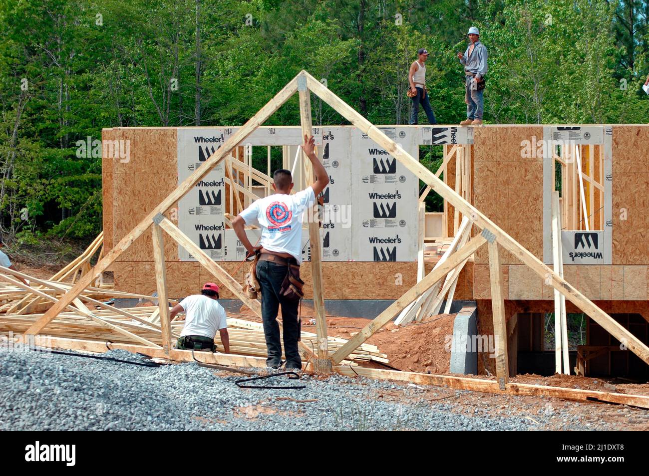 Measuring and cutting wood frame home construction by workers, stick ...