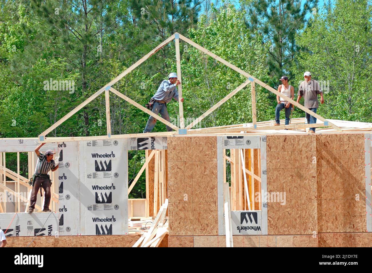 Measuring and cutting wood frame home construction by workers, stick ...