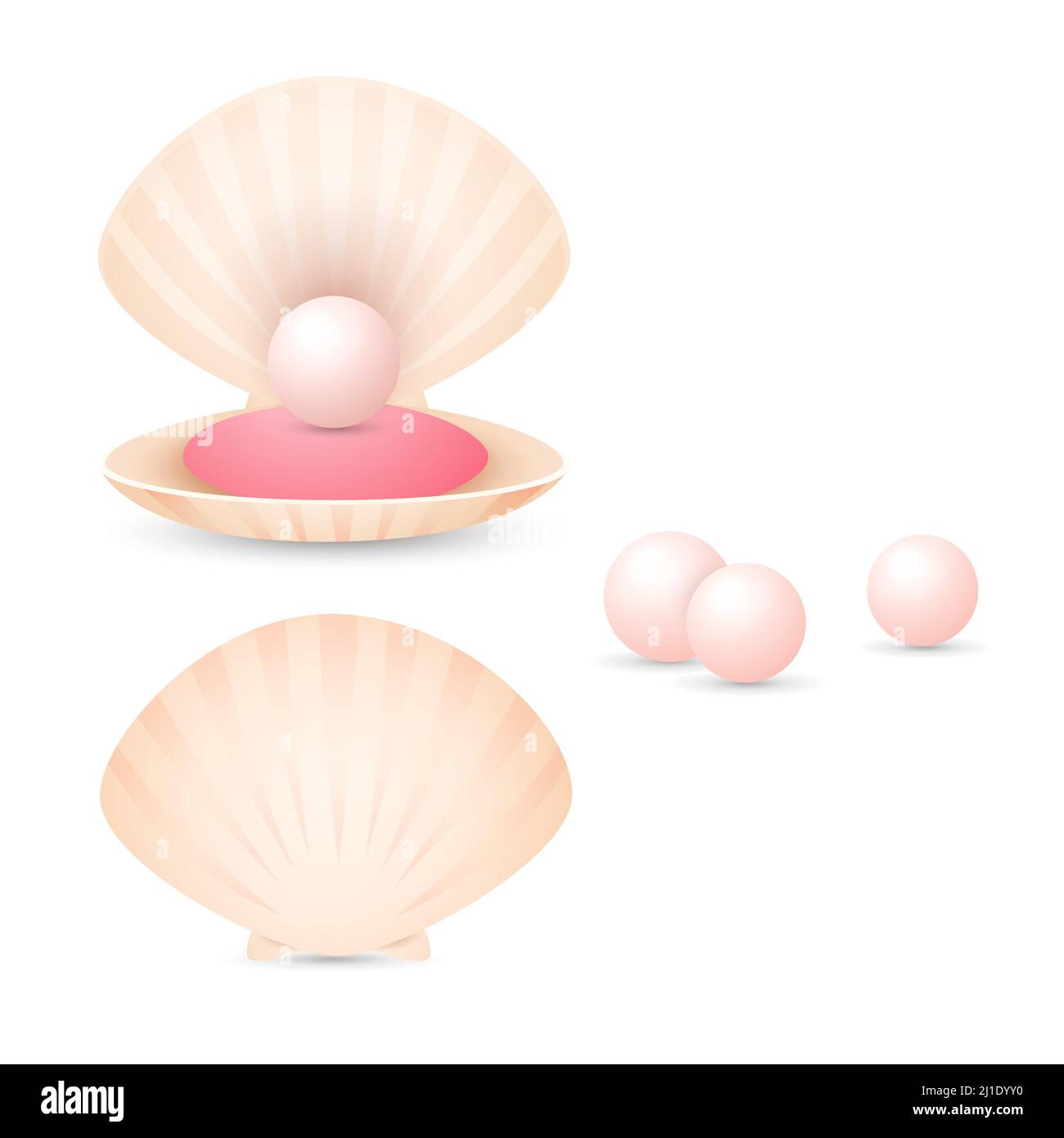 Cartoon seashells Cut Out Stock Images & Pictures - Alamy