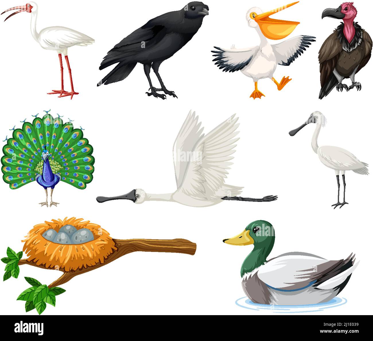 Kinds of birds Cut Out Stock Images & Pictures - Alamy