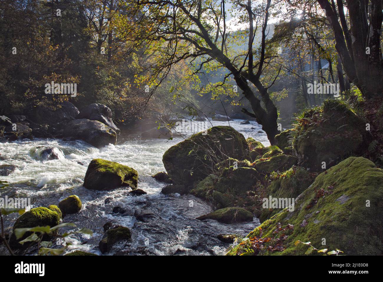 Photograph of River Llugwy (Afon Llugwy) in spate Betws-y-Coed ...