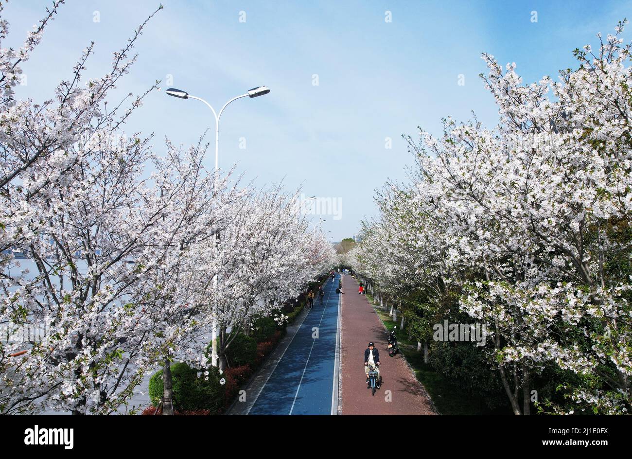 Hangzhou, Hangzhou, China. 25th Mar, 2022. On March 24, 2022, in ...