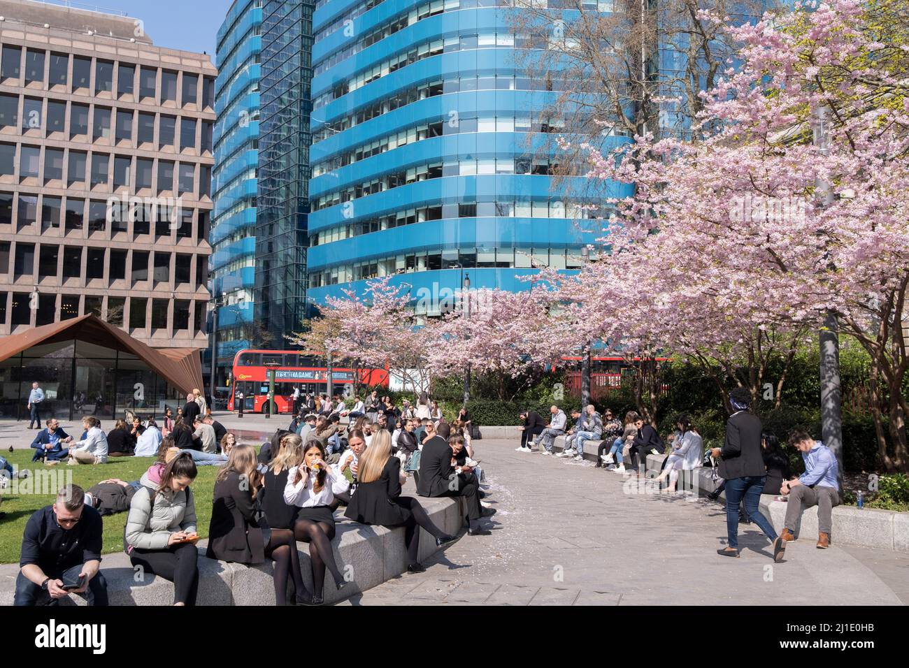 City office employees enjoy warm sunshine beneath spring blossom in ...