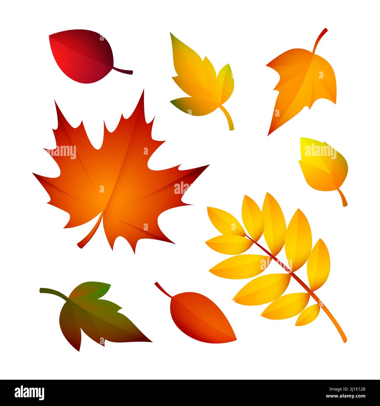 Bright autumn leaves. Set of colorful leaves of different trees. Can be ...