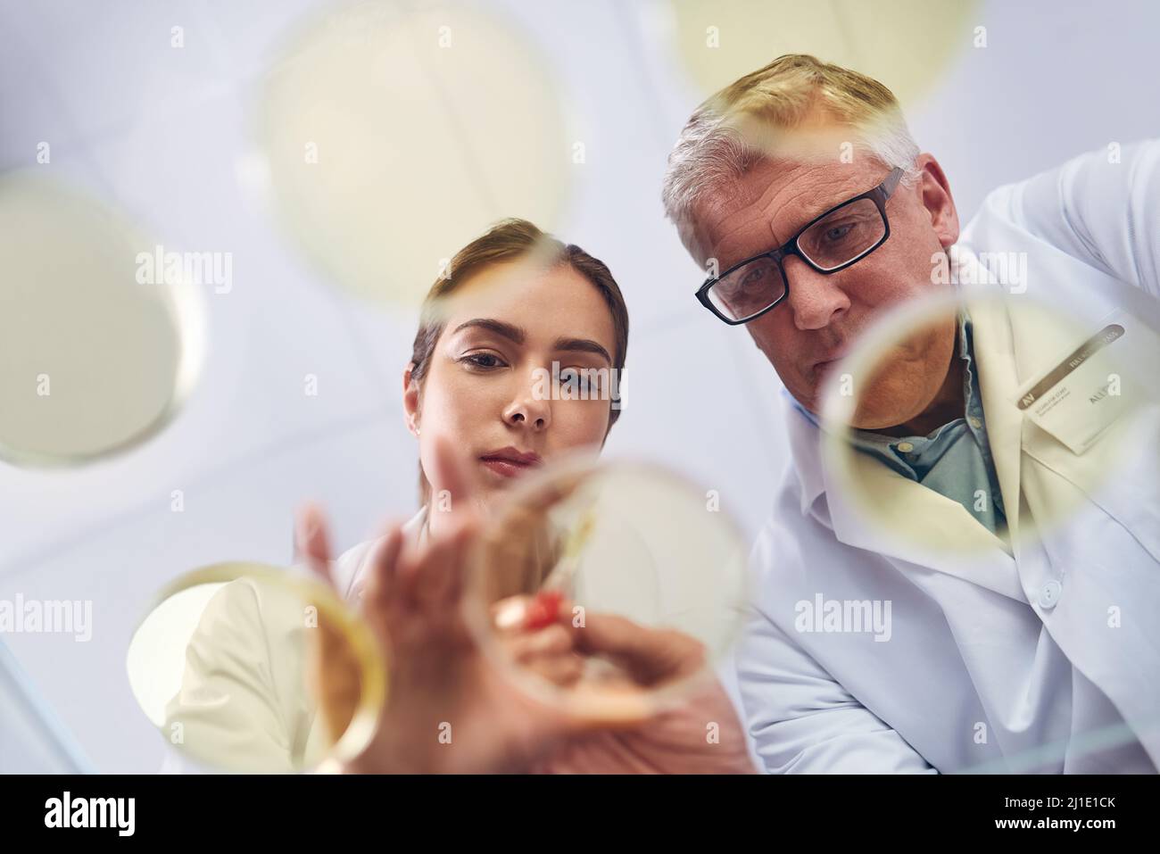 They have a new theory to test out. Low angle shot of two scientists ...