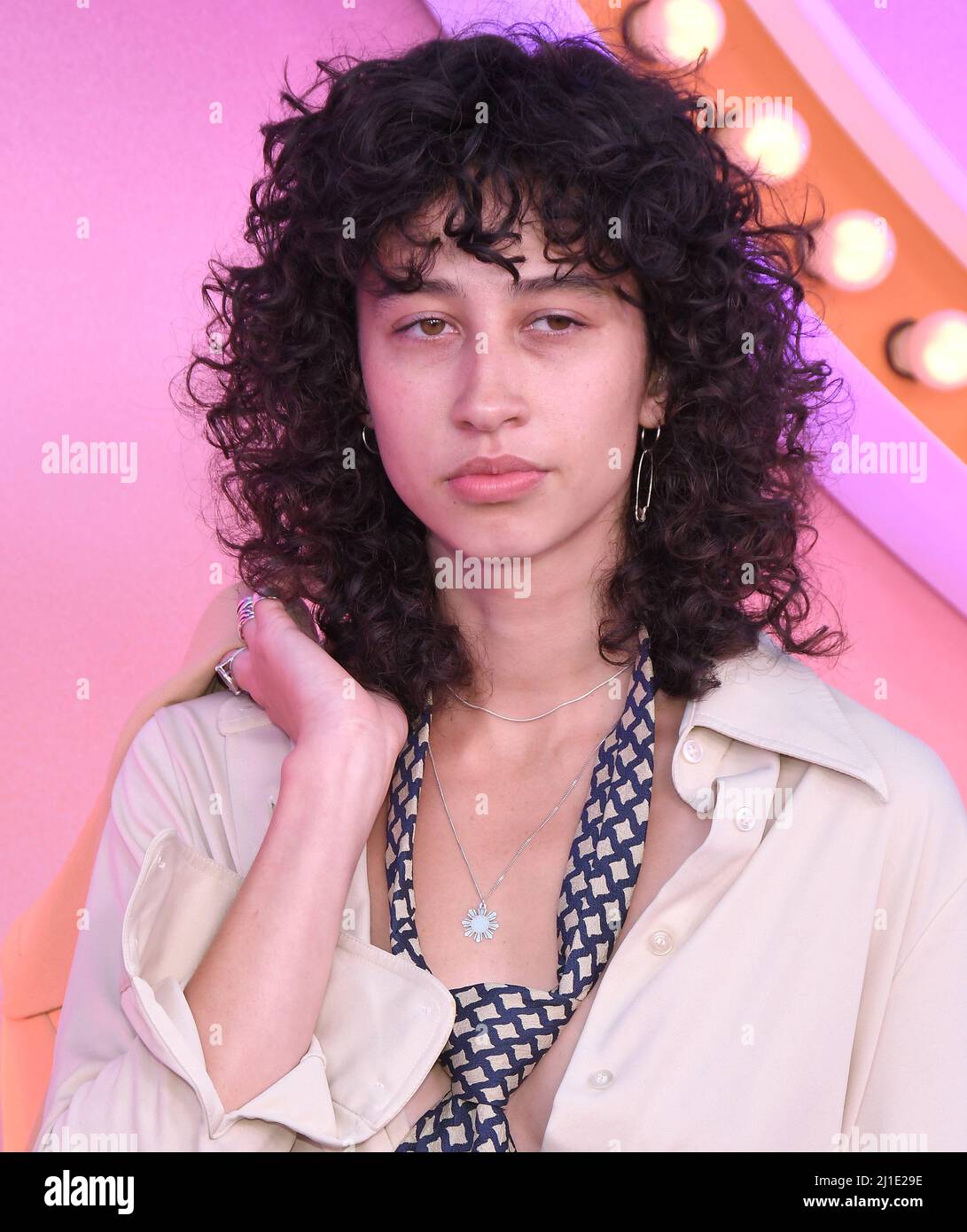 Towa bird hi-res stock photography and images - Alamy