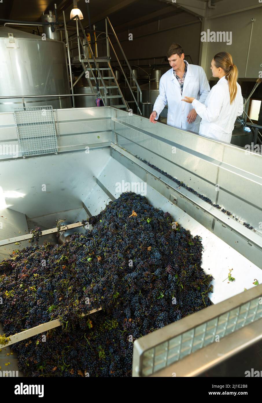 Two engineers of winery controlling process Stock Photo - Alamy