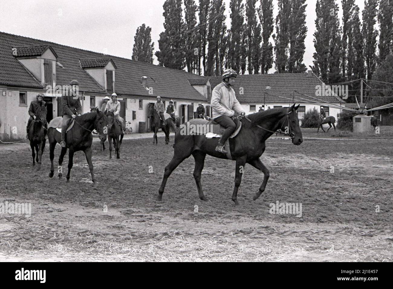 05.10.1985, Germany, Bremen, Bremen - Horses and riders circling in ...