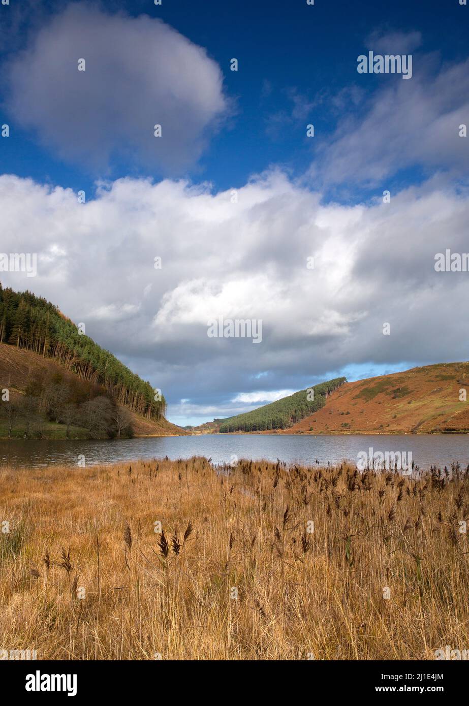 Llyn Geirionydd lake in autumn near Trefriw Snowdonia National Park ...