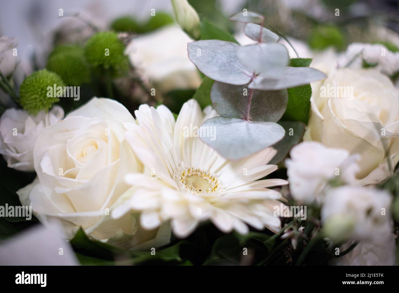 Beautiful white rose flower bouquet close up Stock Photo - Alamy