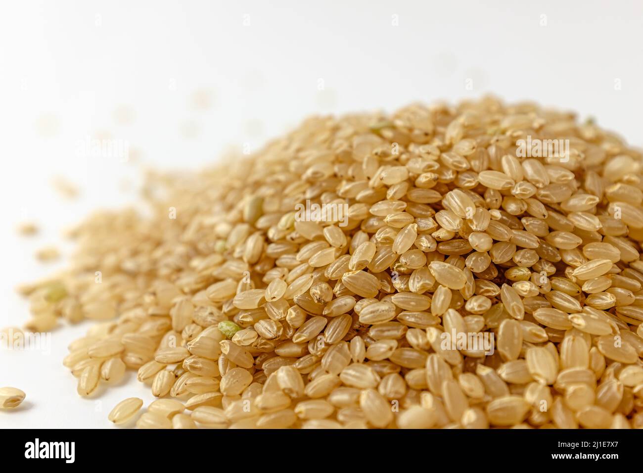 Types of grain hi-res stock photography and images - Alamy