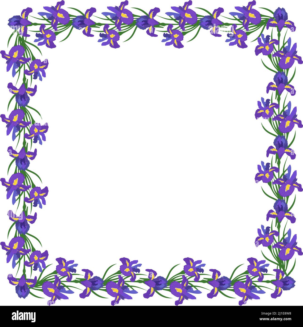 Square frame of iris flowers. wreath with spring blooming composition ...
