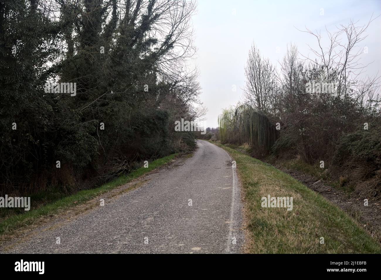 Country road next grove hi-res stock photography and images - Alamy