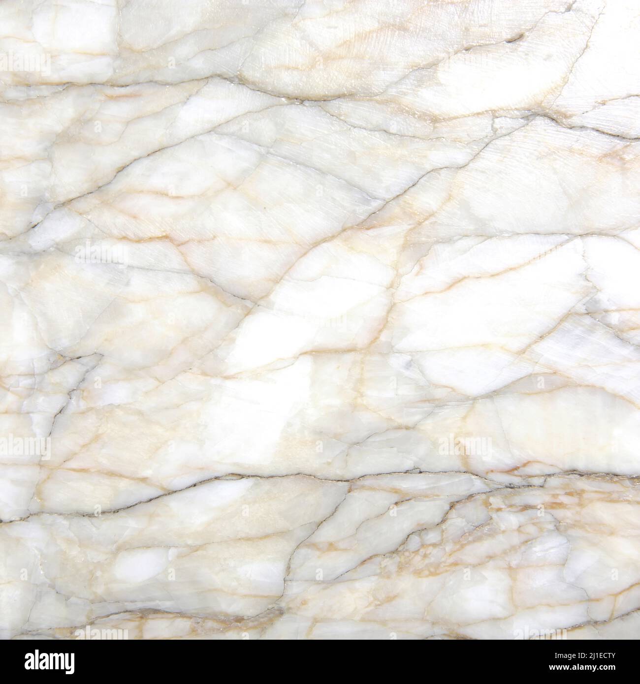 Crema Marfil, with its characteristic lightly veined cream color, is a ...