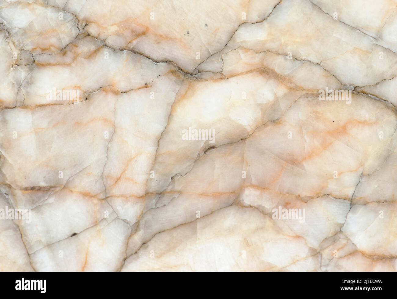 Crema Marfil, with its characteristic lightly veined cream color, is a ...