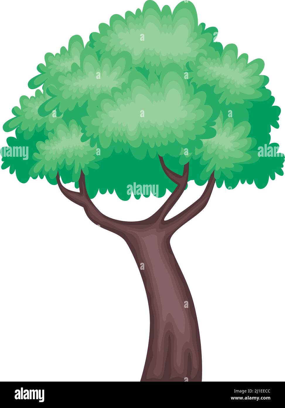 tree plant nature Stock Vector Image & Art - Alamy