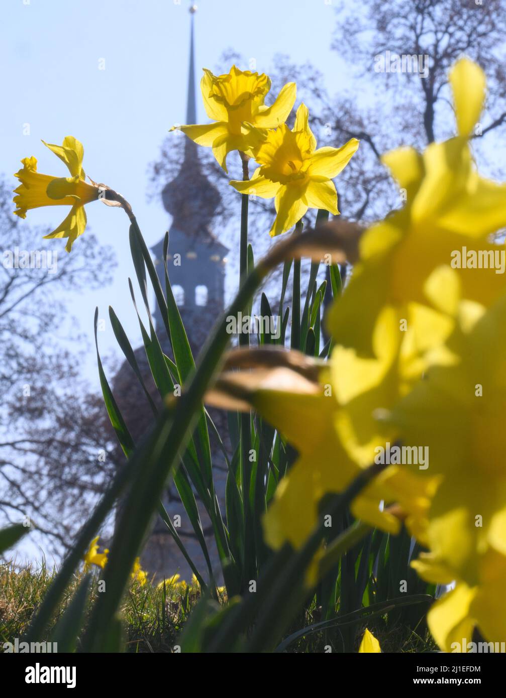 Robert hausmann hi-res stock photography and images - Alamy