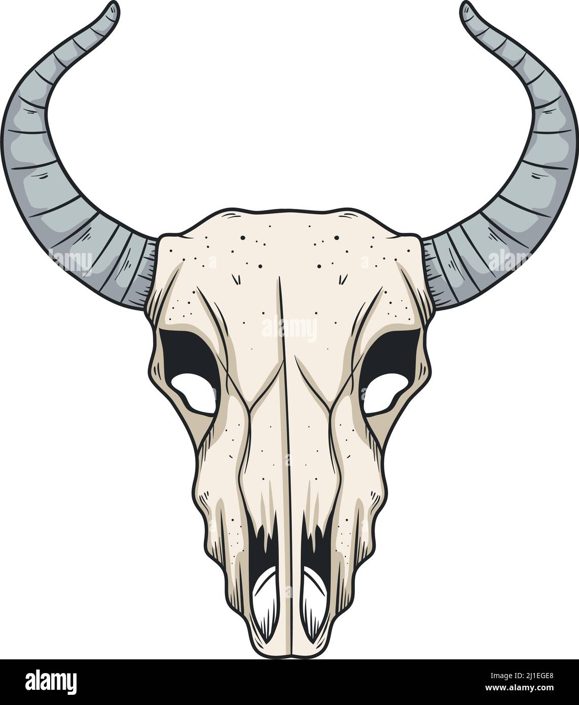 head cow skull Stock Vector Image & Art - Alamy