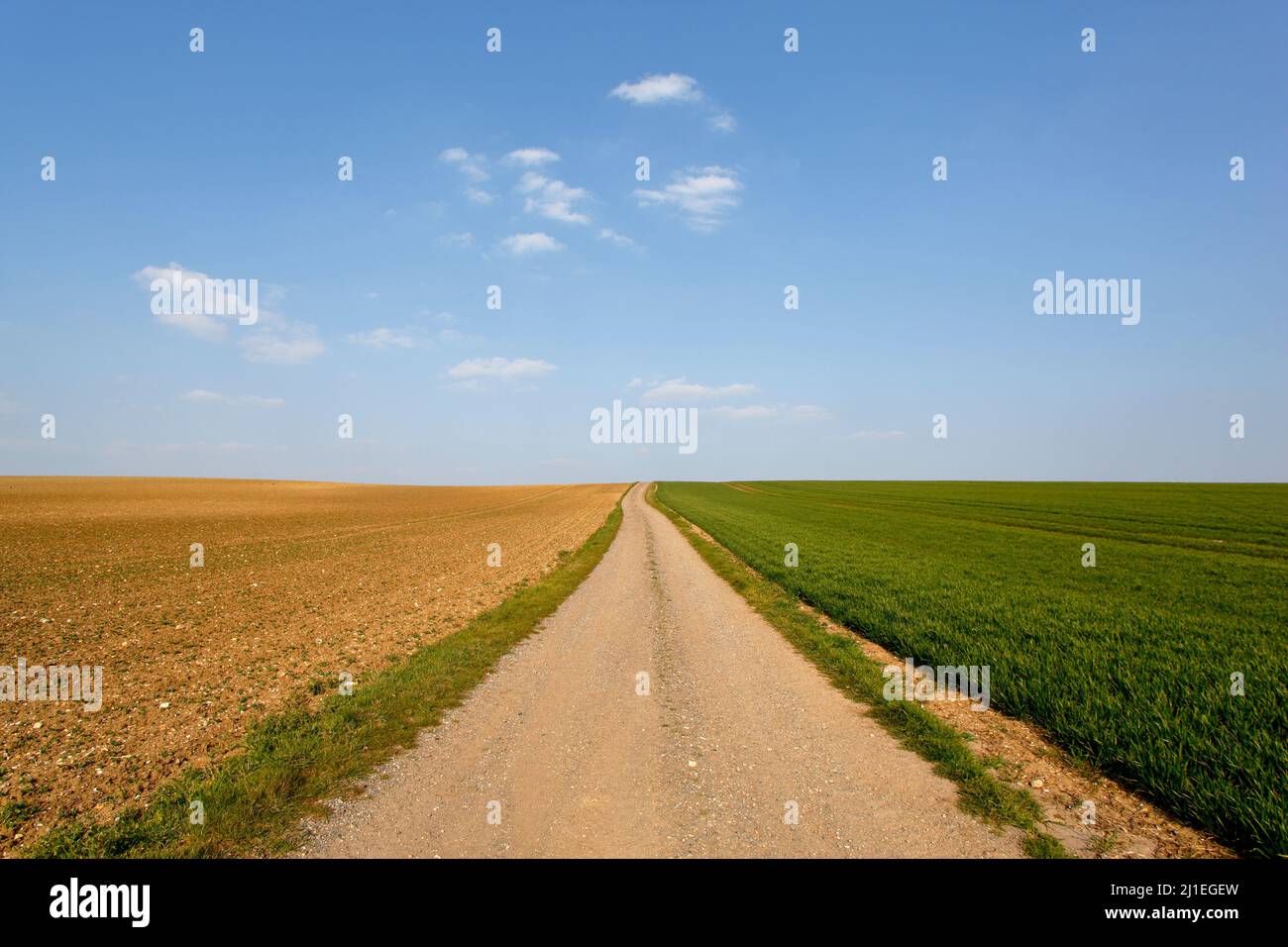 Loss of hedgerows hi-res stock photography and images - Alamy