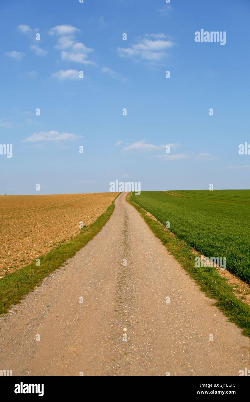 Loss of hedgerows hi-res stock photography and images - Alamy