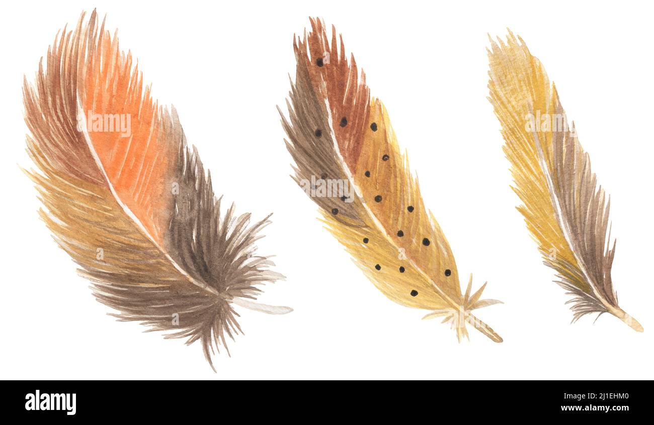 Boho clipart hi-res stock photography and images - Alamy