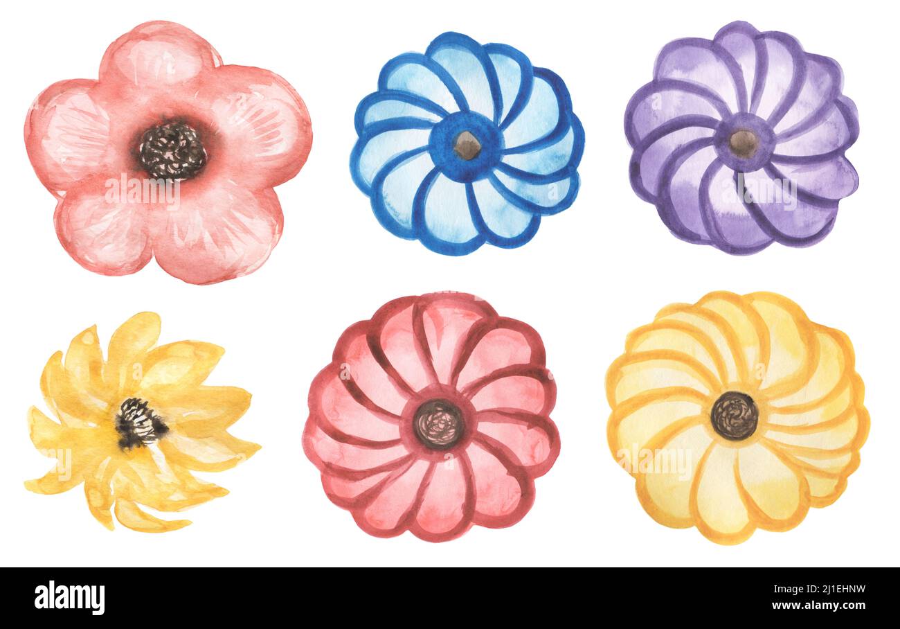Watercolor bright florals set. Hand painted flowers illustration ...