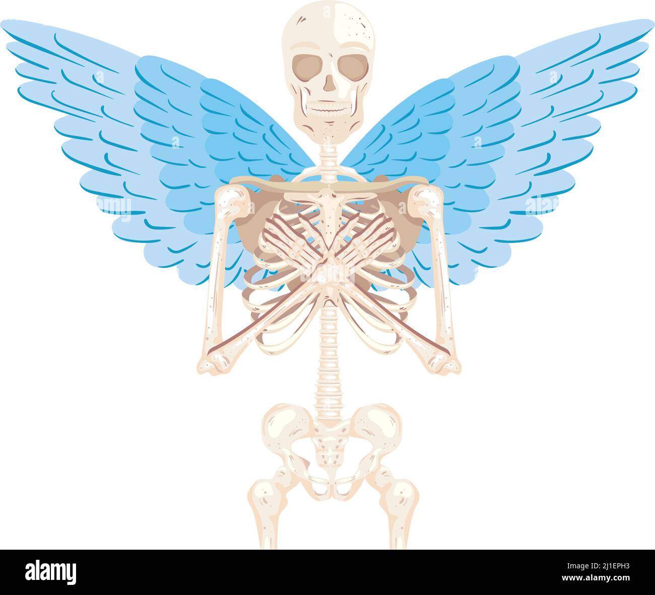 skeleton with wings Stock Vector Image & Art - Alamy