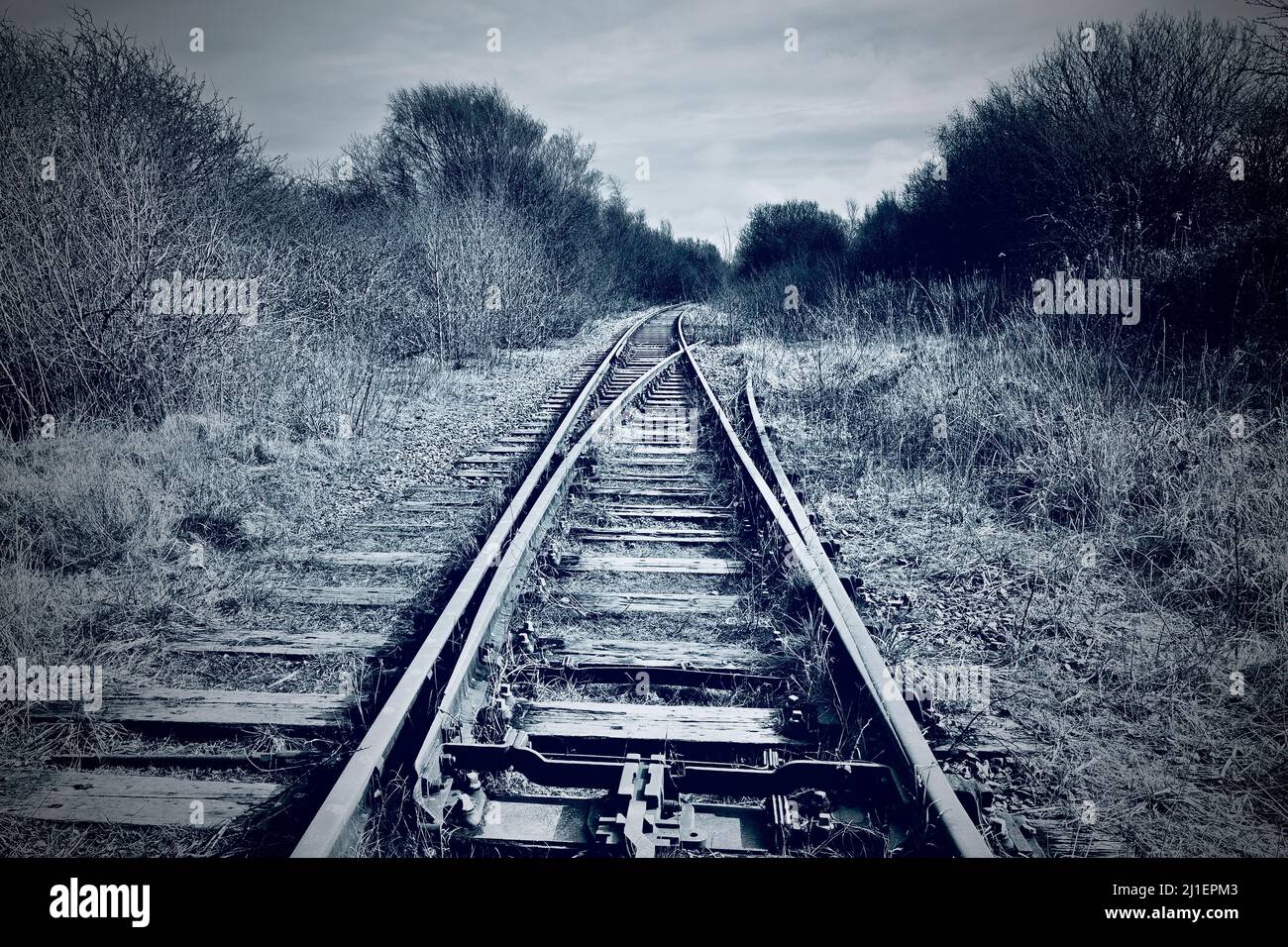 Overgrown disused railway line in rural setting Stock Photo - Alamy