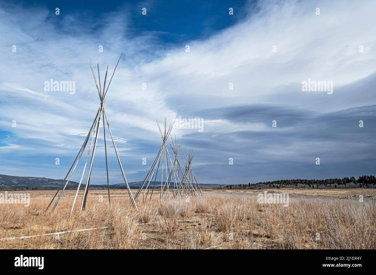 A row of tipi (teepee) frames on the Stoney Indian Reserve near Morley ...