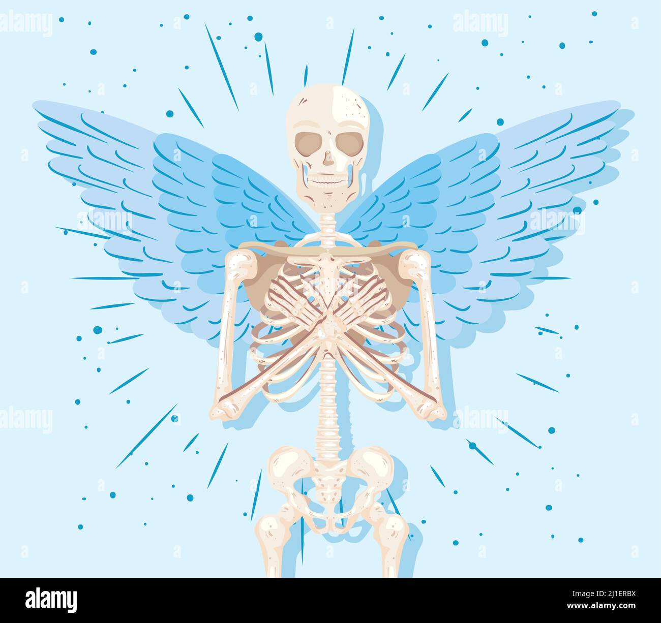 skeleton angel with wings Stock Vector Image & Art - Alamy