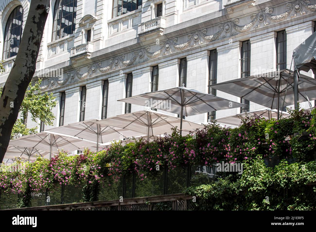 Sunday scenes from the Union Square Farmer's Market in New York City ...