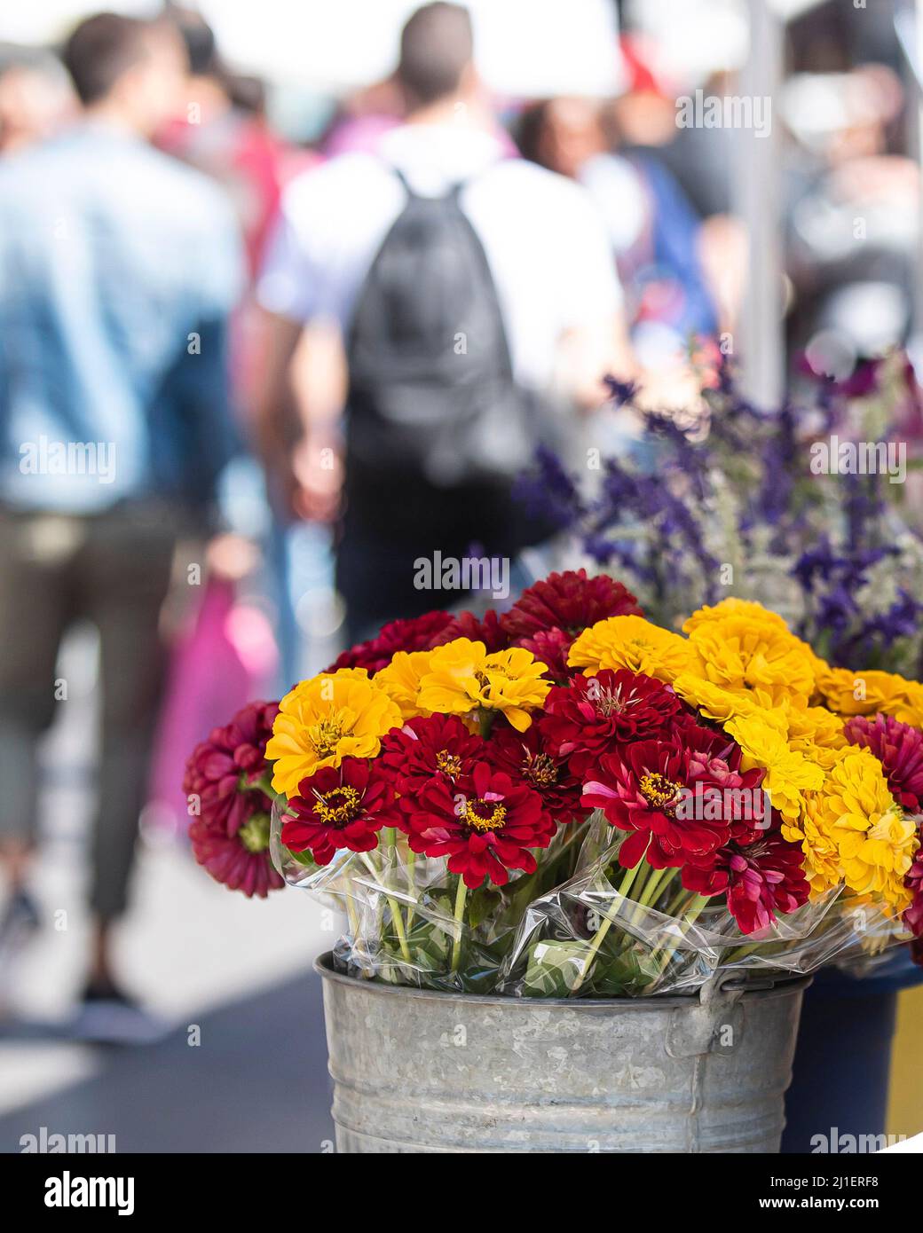 Sunday scenes from the Union Square Farmer's Market in New York City ...