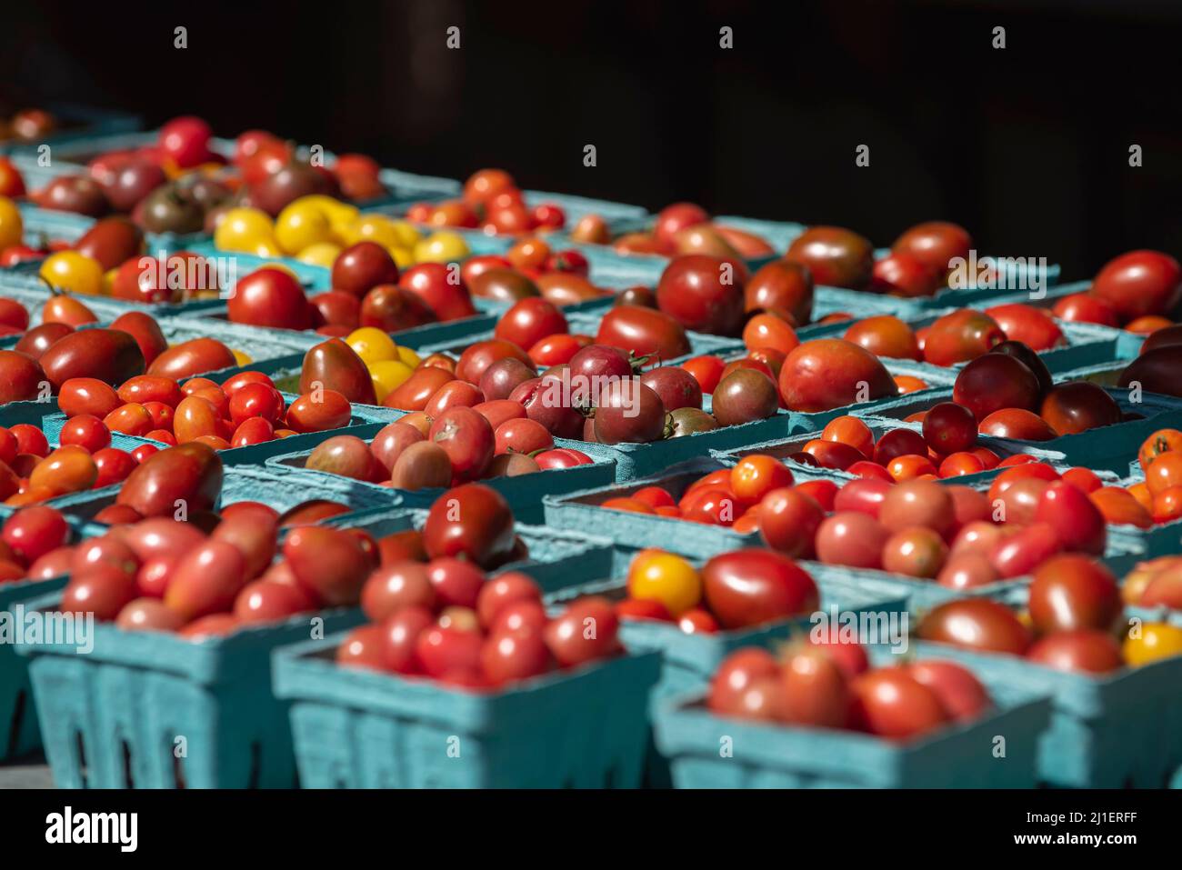 Sunday scenes from the Union Square Farmer's Market in New York City ...
