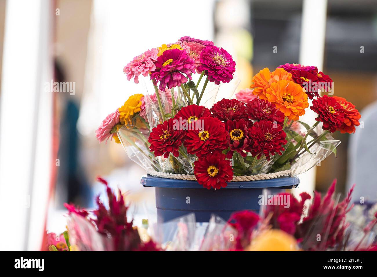 Sunday scenes from the Union Square Farmer's Market in New York City ...