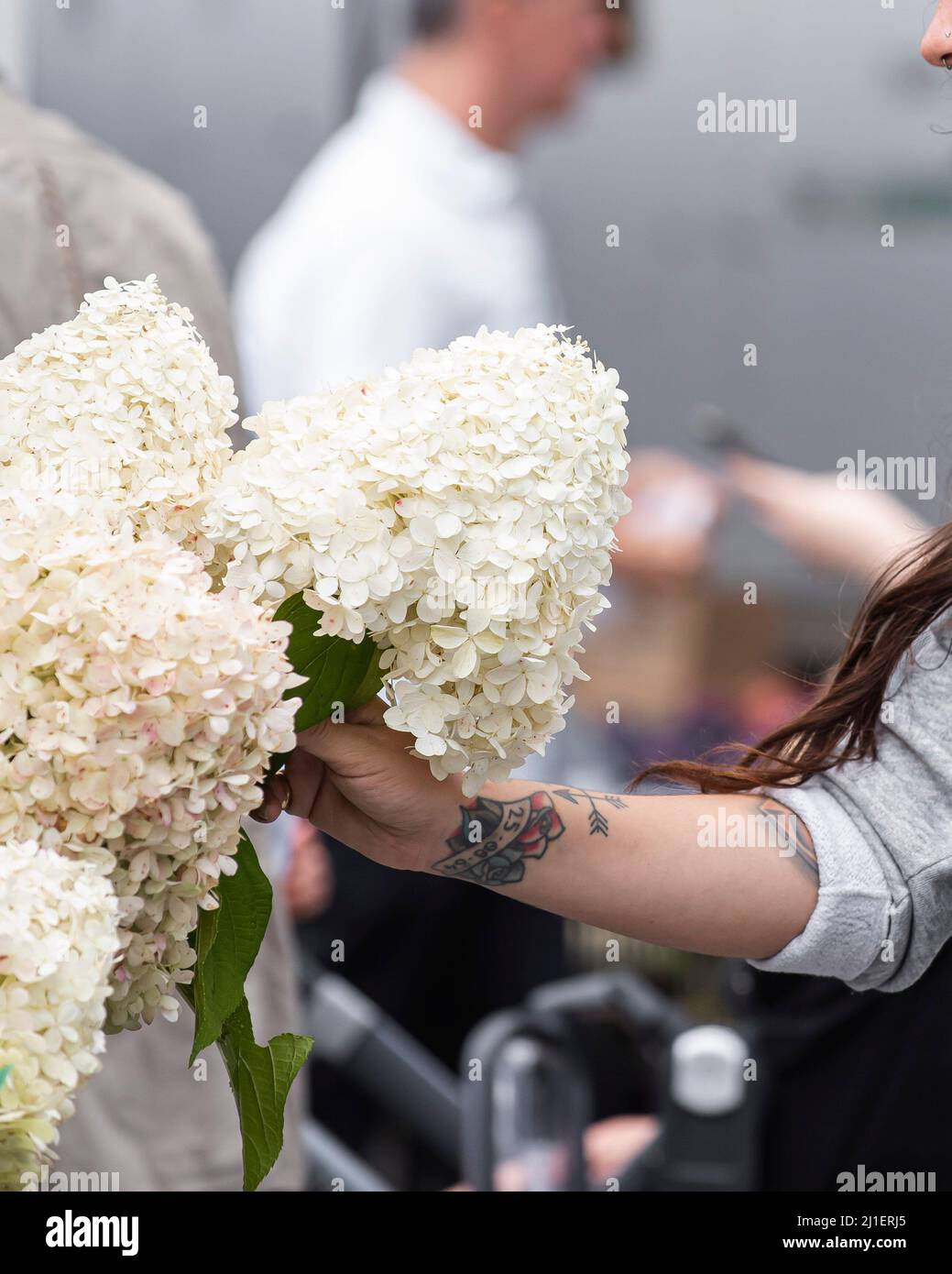 Sunday scenes from the Union Square Farmer's Market in New York City ...